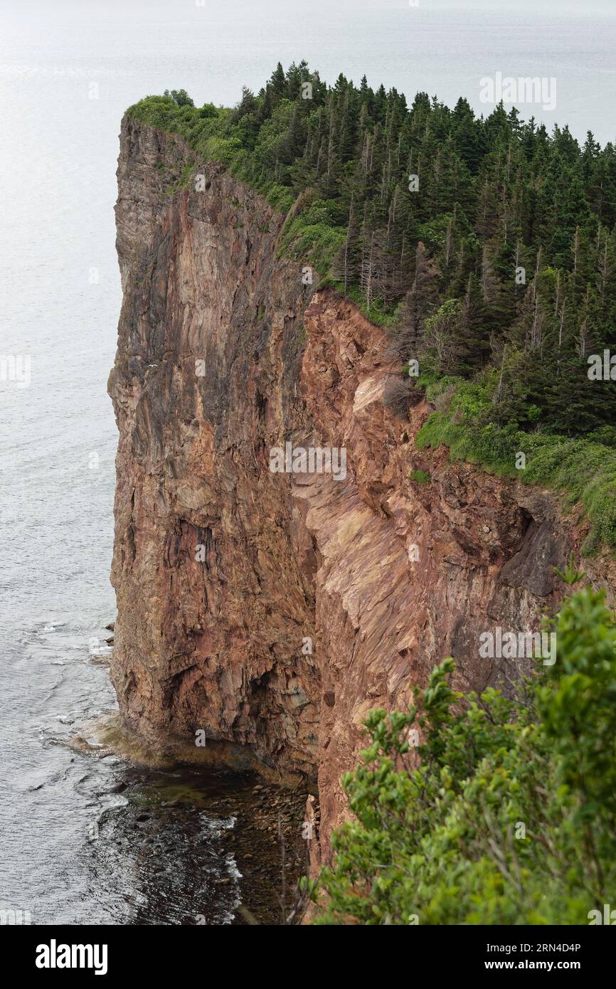 Steep cliff, Pic Aurore, Perce, Gulf of Saint Lawrence, Province of ...