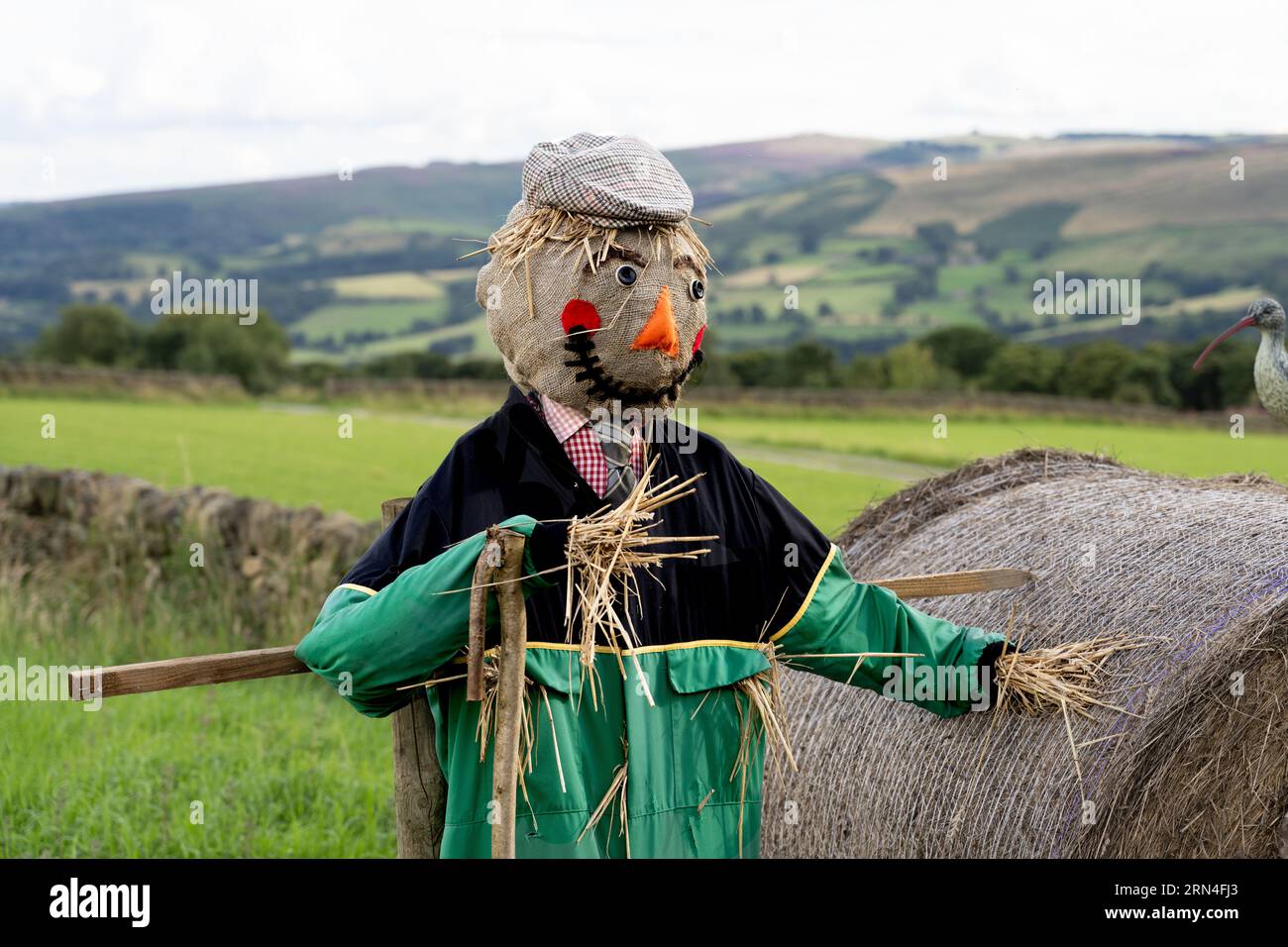 Scarecrow in a farmers field happy smiling face wearing a flat cap and ...