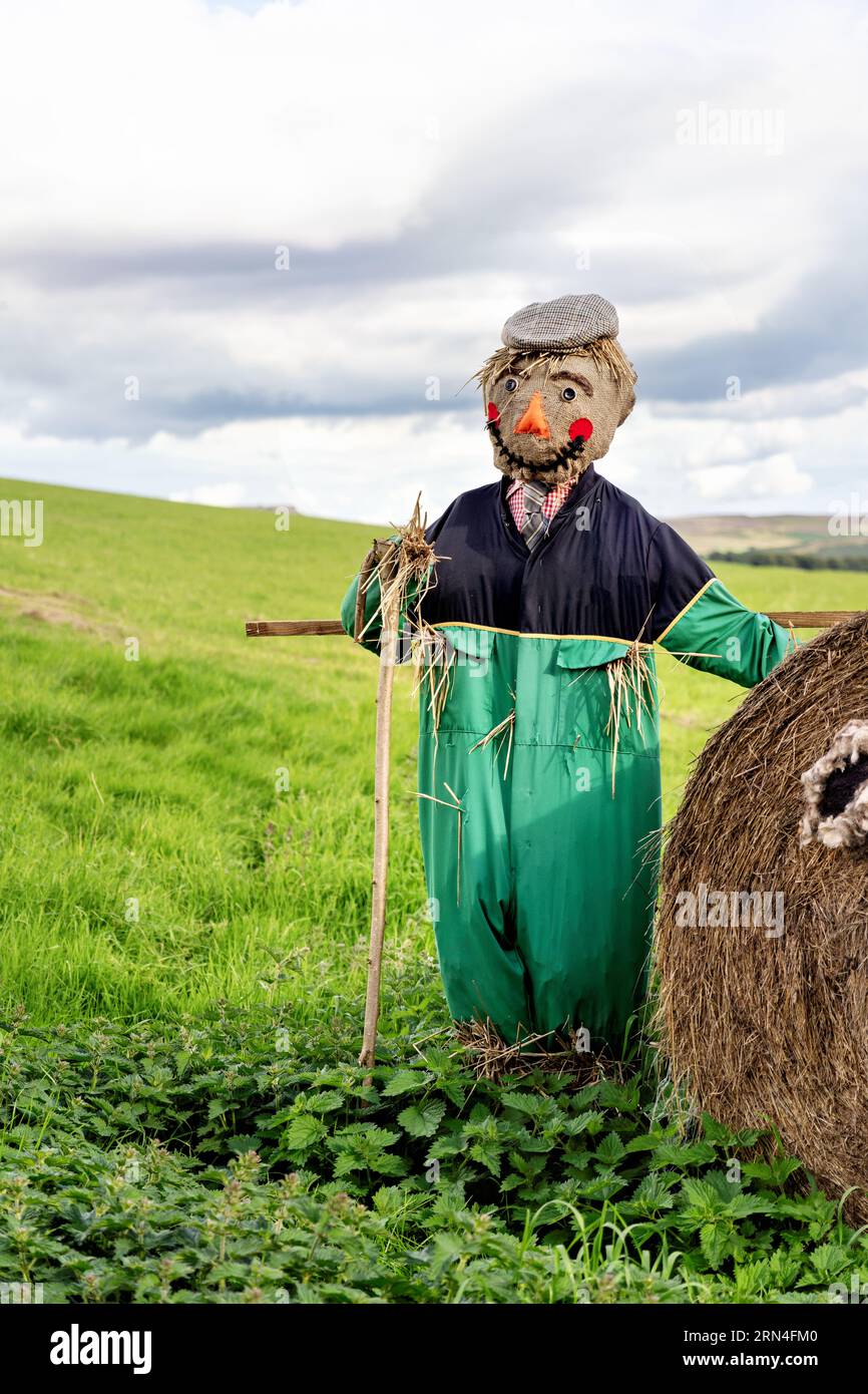 Scarecrow in a farmers field happy smiling face wearing a flat cap and ...
