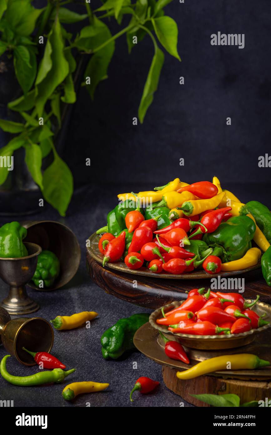 Still life with different kinds of pepperoni, food photography Stock ...