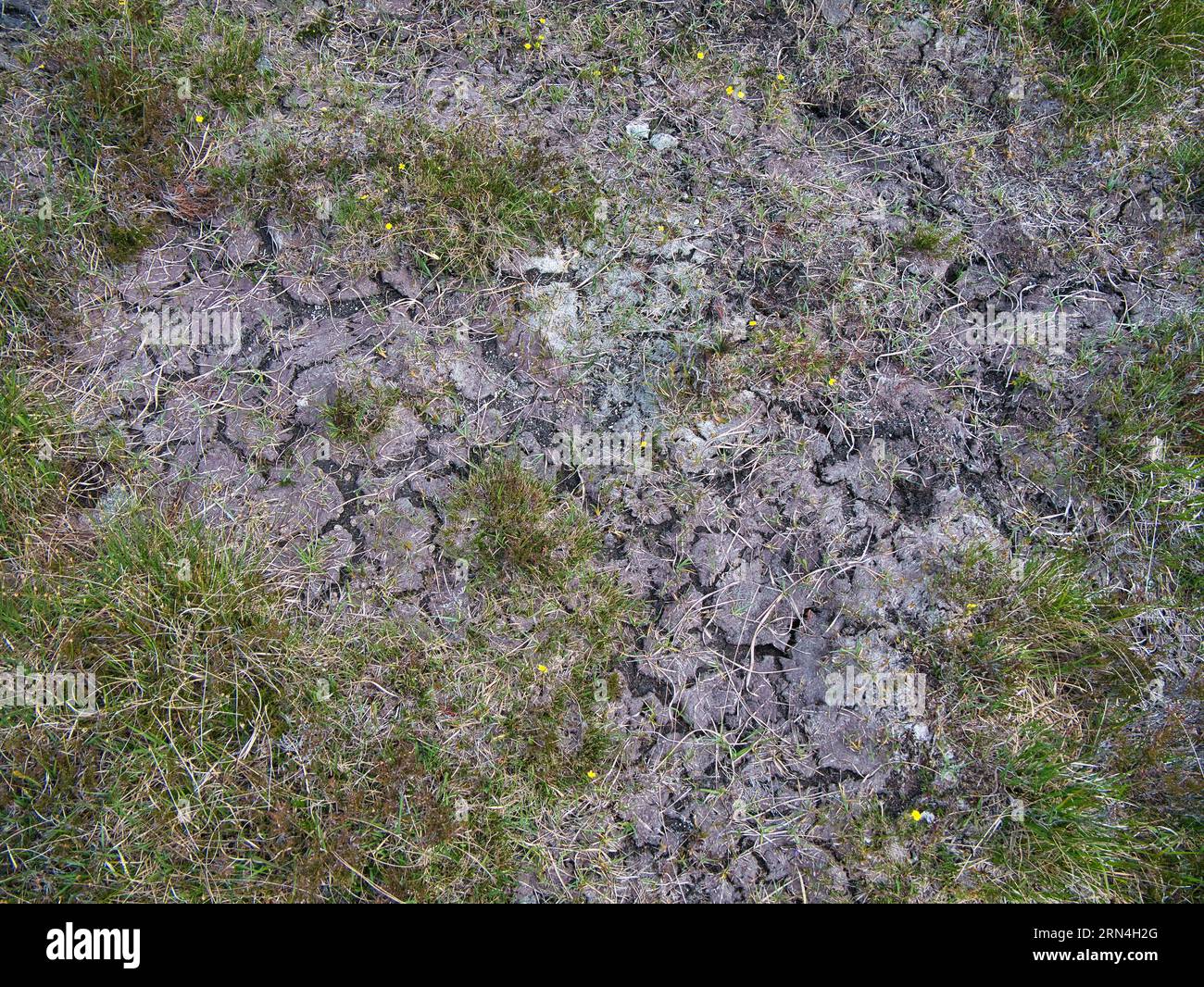 Dried peat bog wetland on the island of Harris in the Outer Hebrides ...
