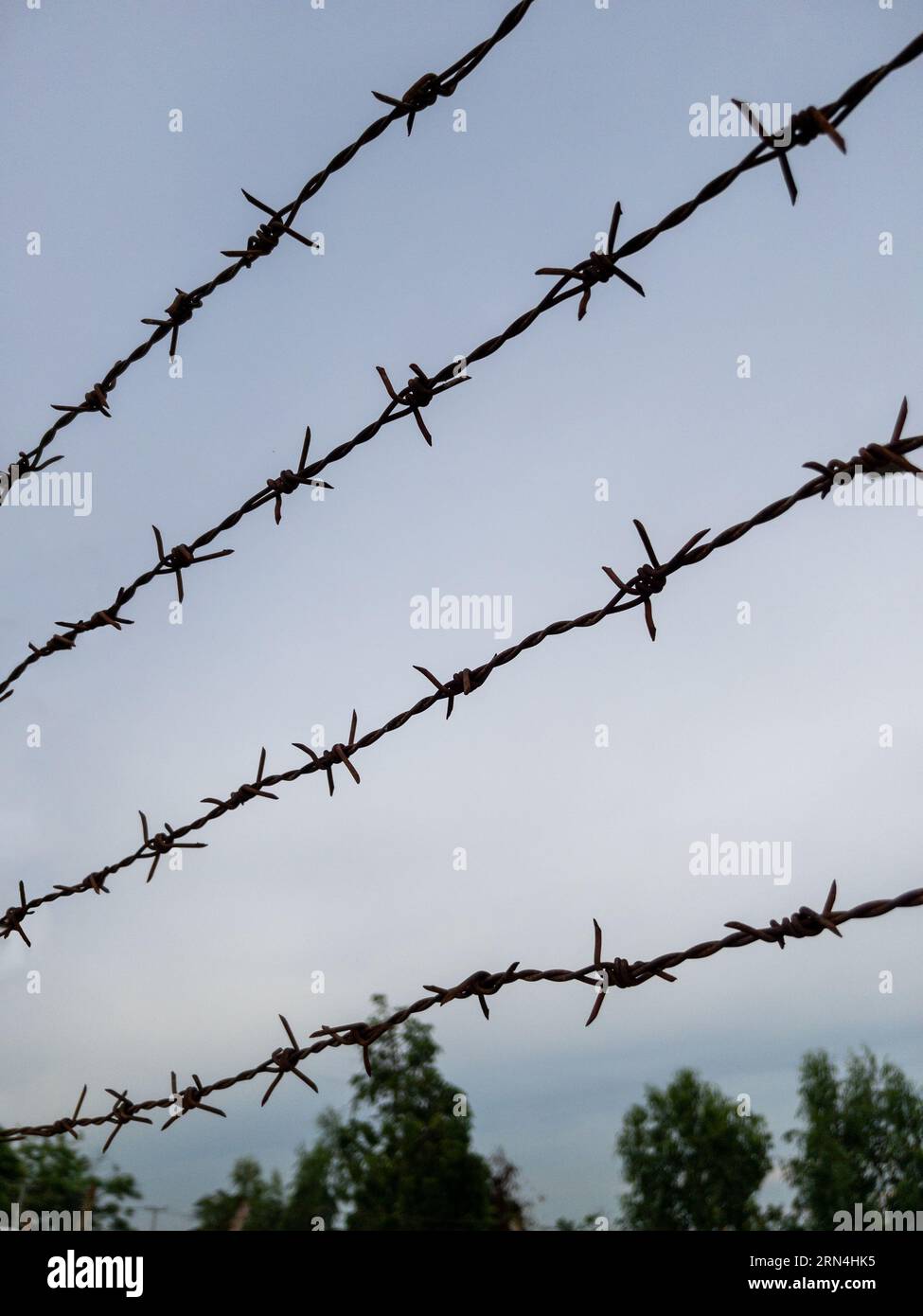 Closeup of the barbed wire stretched in the twilight time to prevent ...