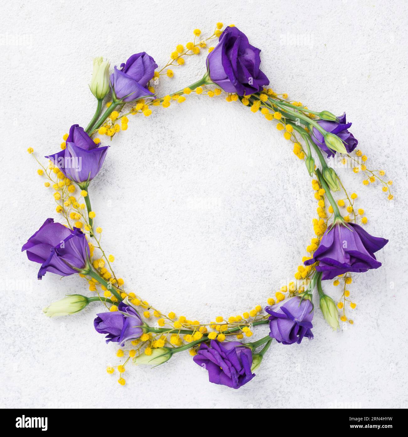 Fungus wreath hi-res stock photography and images - Alamy