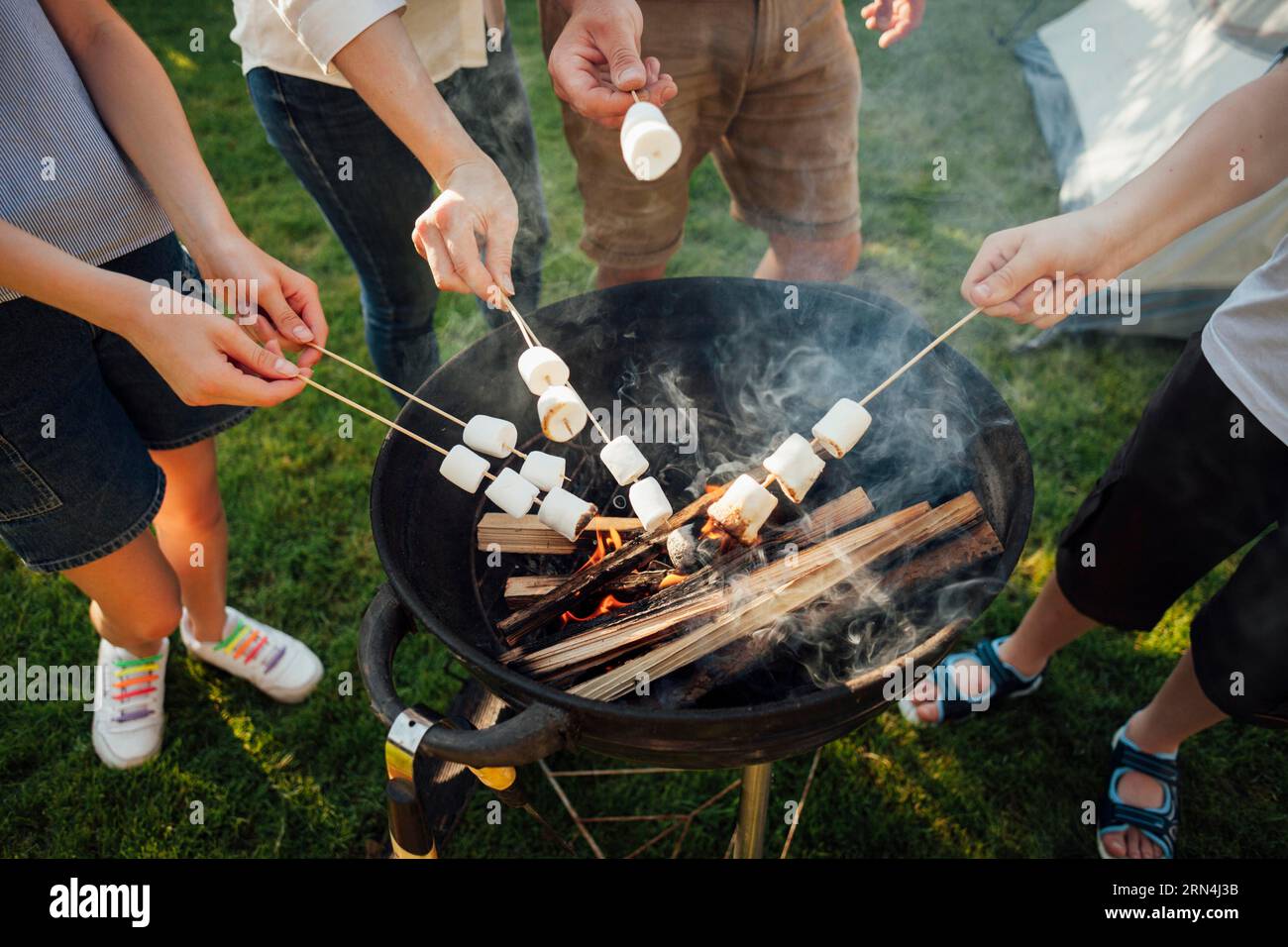 Elevated view hands roasting marshmallow barbecue fire Stock Photo - Alamy