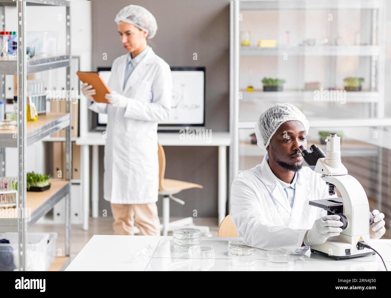 Female male researchers biotechnology laboratory with microscope tablet ...