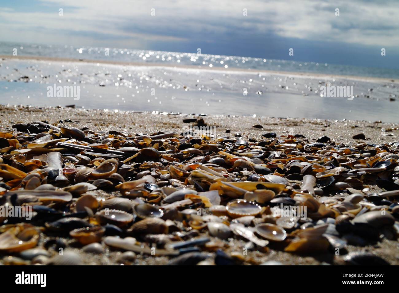 Impressions of the endless beach at the northern sea in Blavand Denmark ...