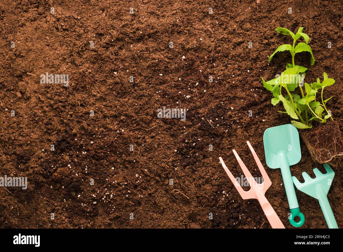 Flat lay plant gardening tools with copyspace Stock Photo - Alamy