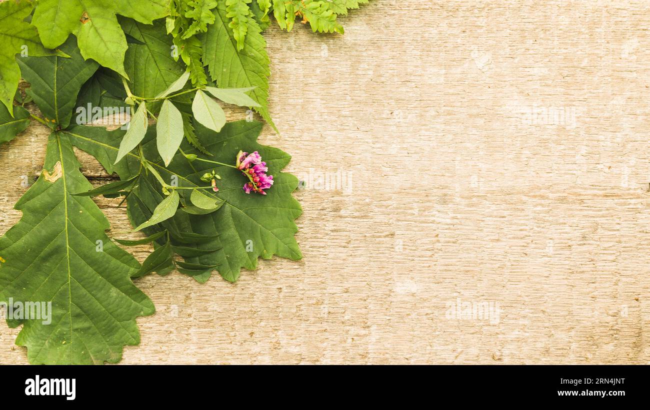 Green composition hi-res stock photography and images - Alamy