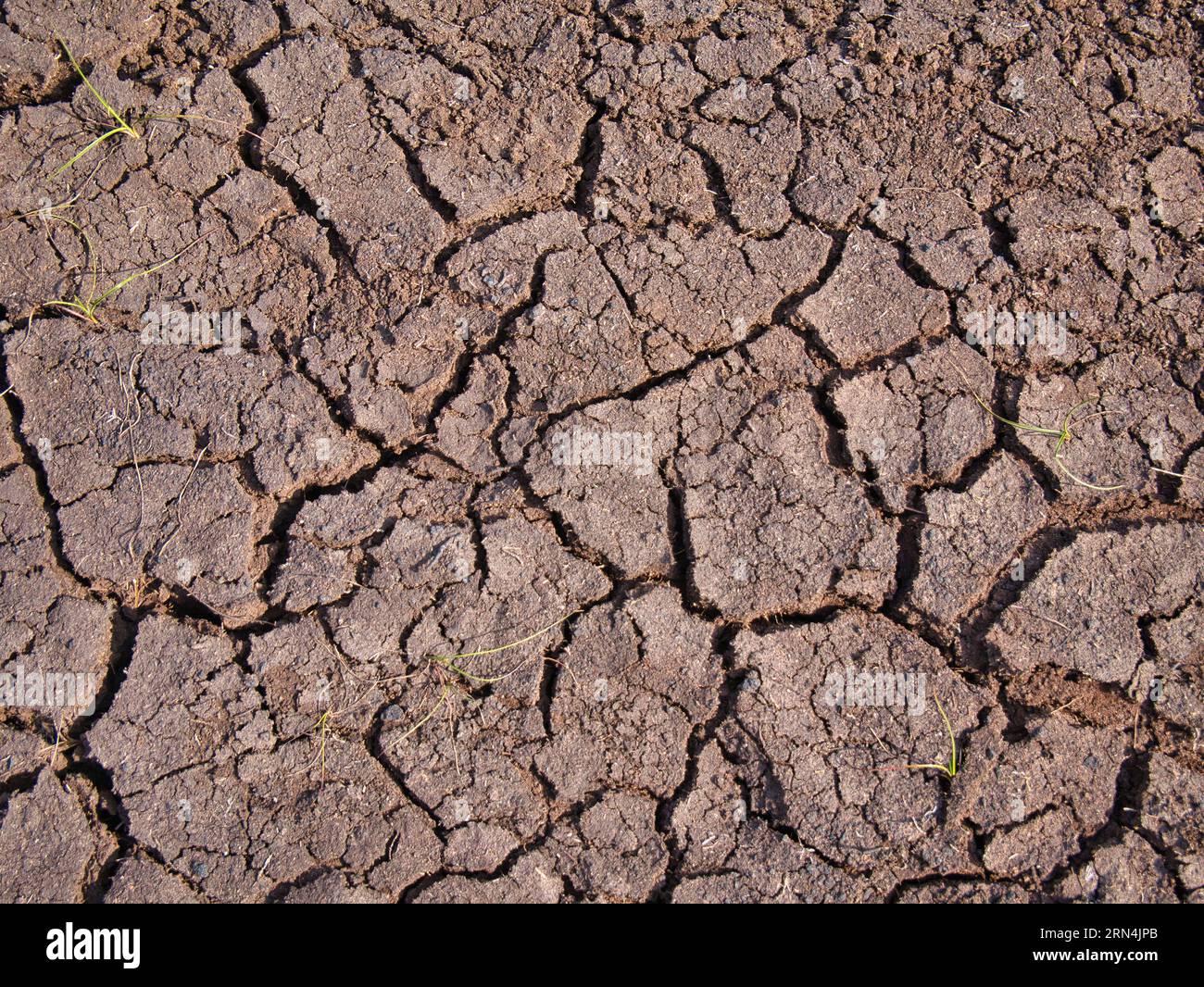 Dried peat bog wetland on the island of Scalpay in the Outer Hebrides ...