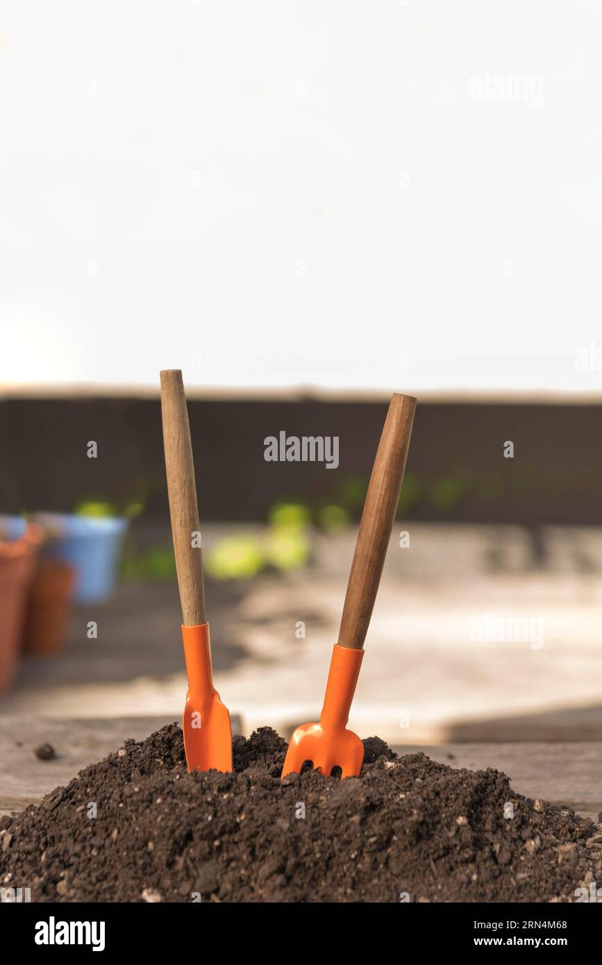 Botany tool hi-res stock photography and images - Alamy