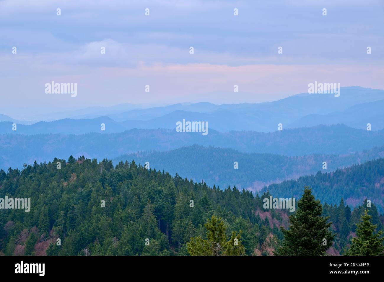 Mountain top, Coniferous forest, Horizon, Evening, Blauen, Schliengen ...