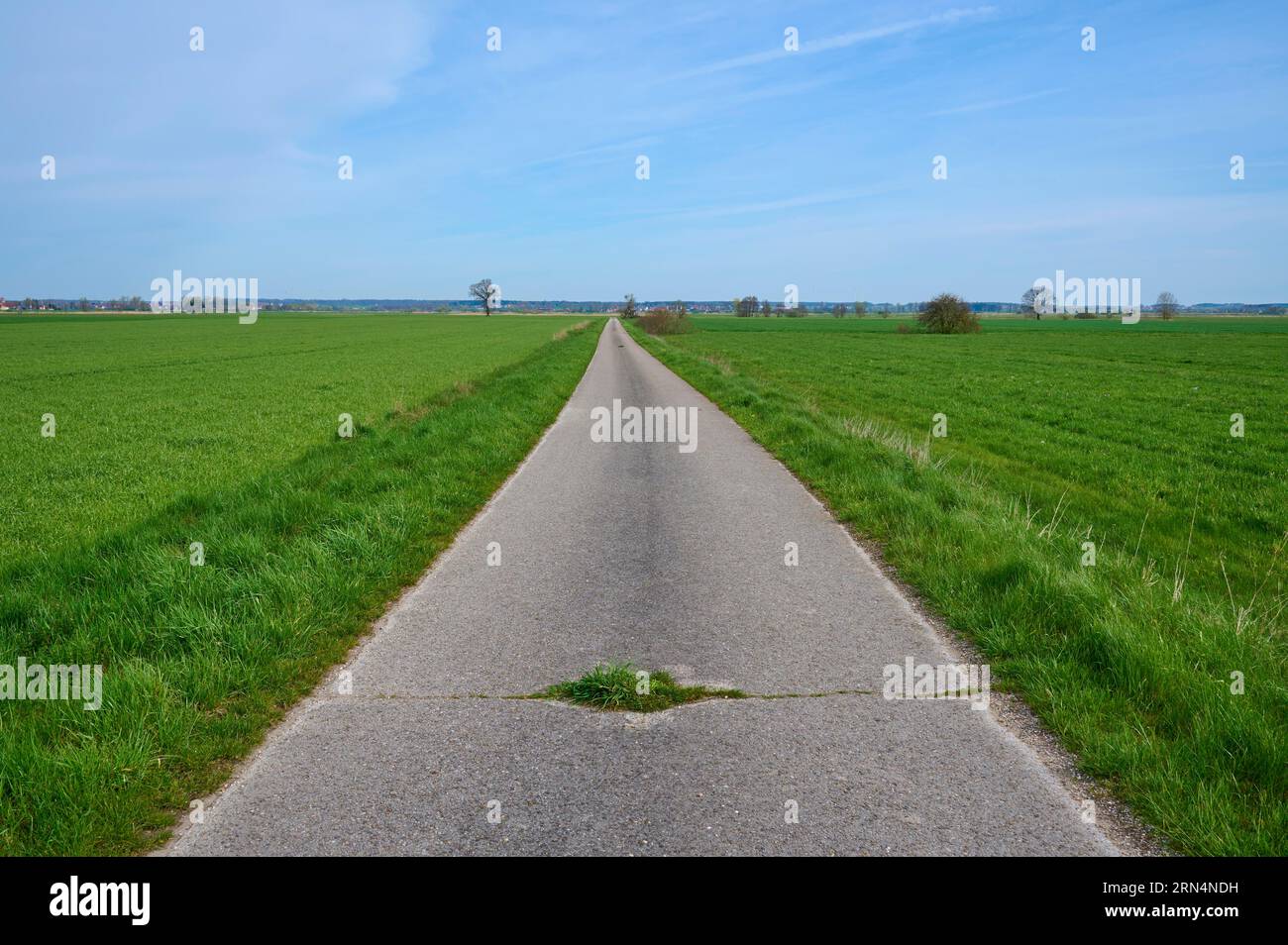 Field path, meadow landscape, spring, Wismet, Altmuehlsee, Streudorf, Gunzenhausen, Middle ...