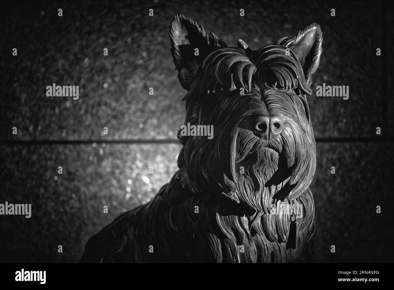 WASHINGTON DC — A sculpture of FDR's dog Fala. The Franklin Delano ...