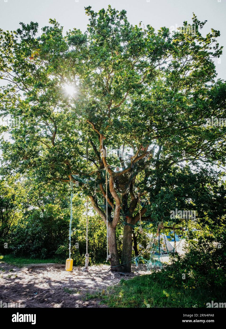 Tree with rope swing hi-res stock photography and images - Alamy