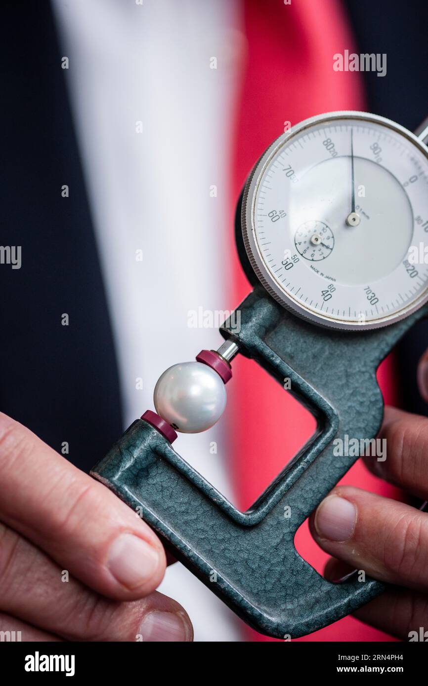 An appraiser with a measuring device device to determine the diameter ...