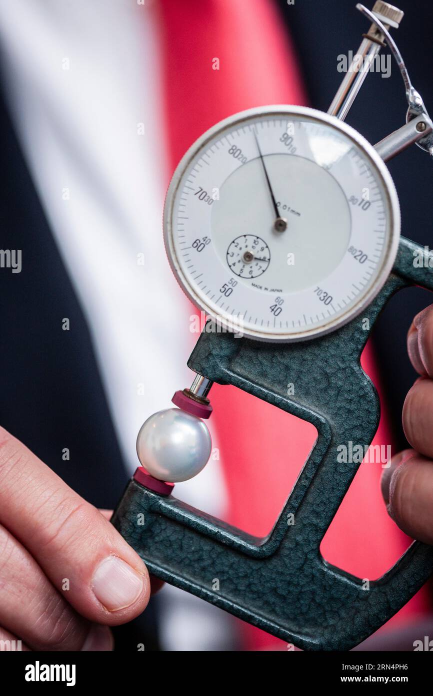 An appraiser with a measuring device device to determine the diameter ...