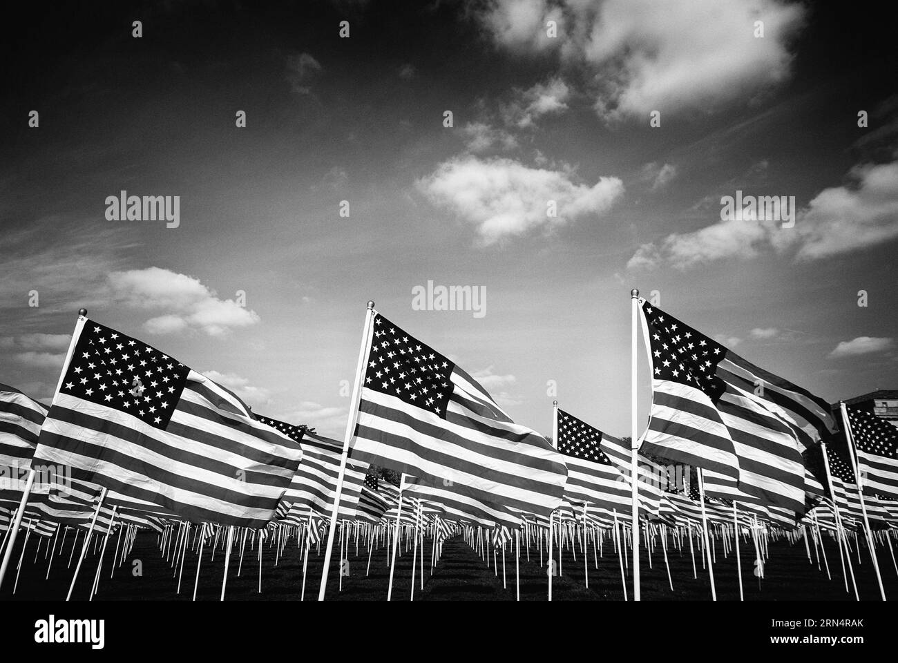 Rows waving united states hi-res stock photography and images - Alamy