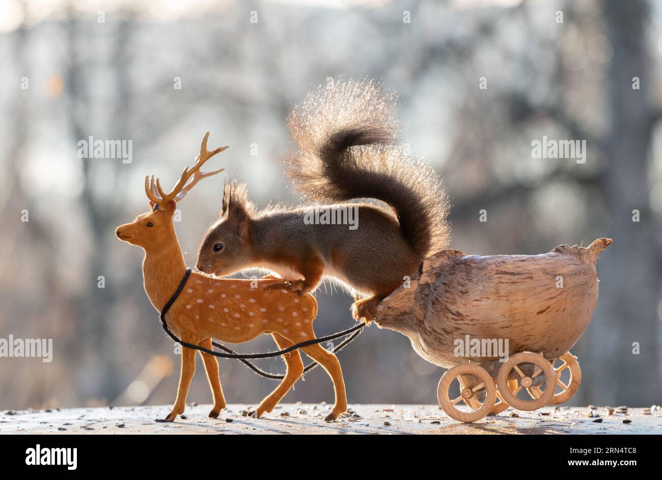 No wheel on wagon hi-res stock photography and images - Alamy