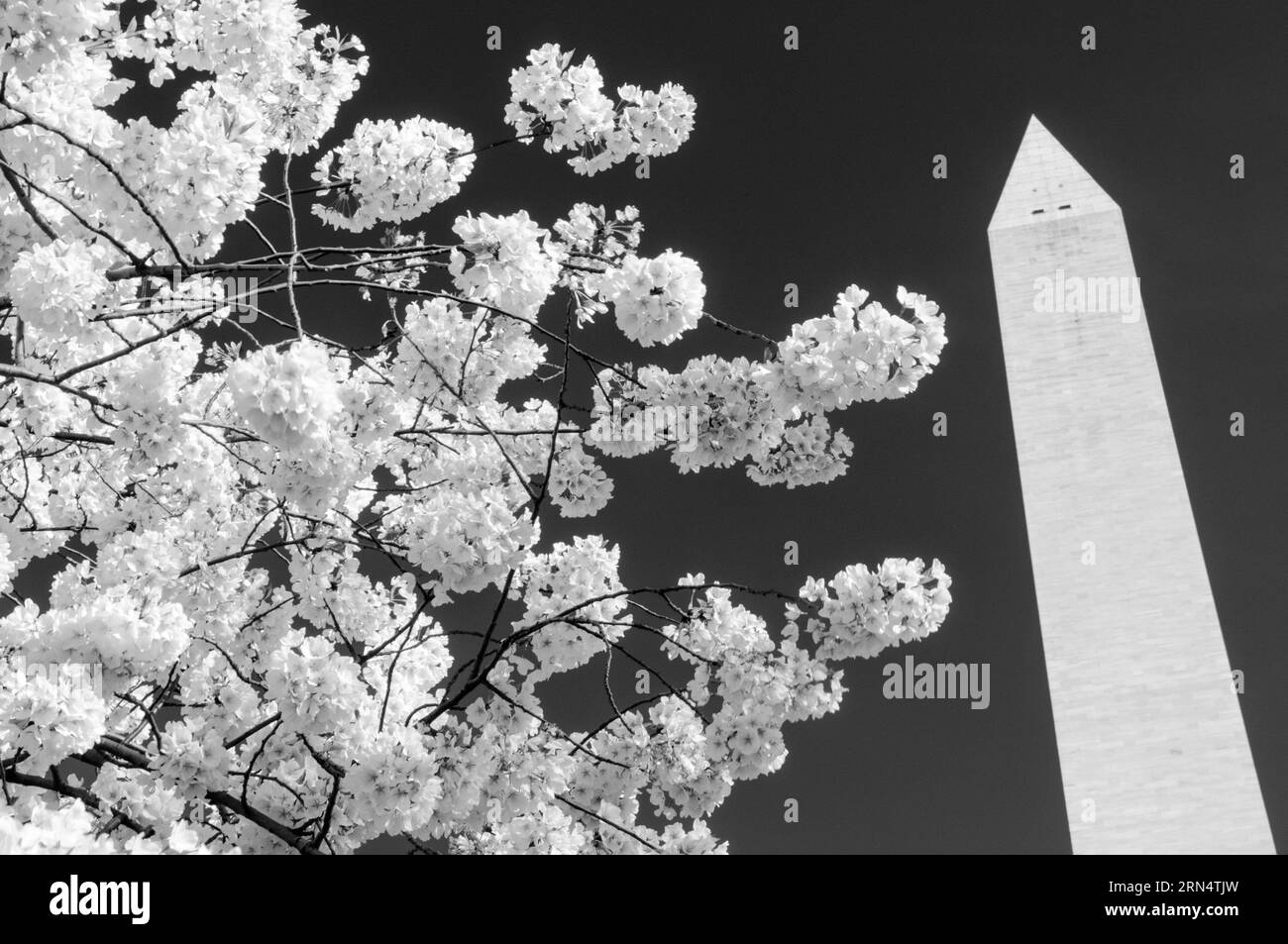 Ring of american flags Black and White Stock Photos & Images - Alamy