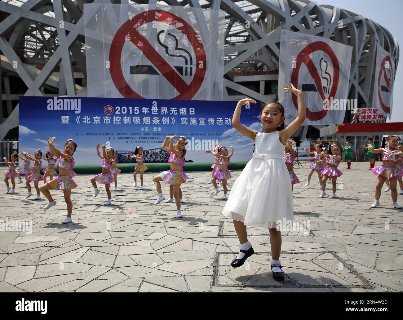Smoking bird hi-res stock photography and images - Alamy