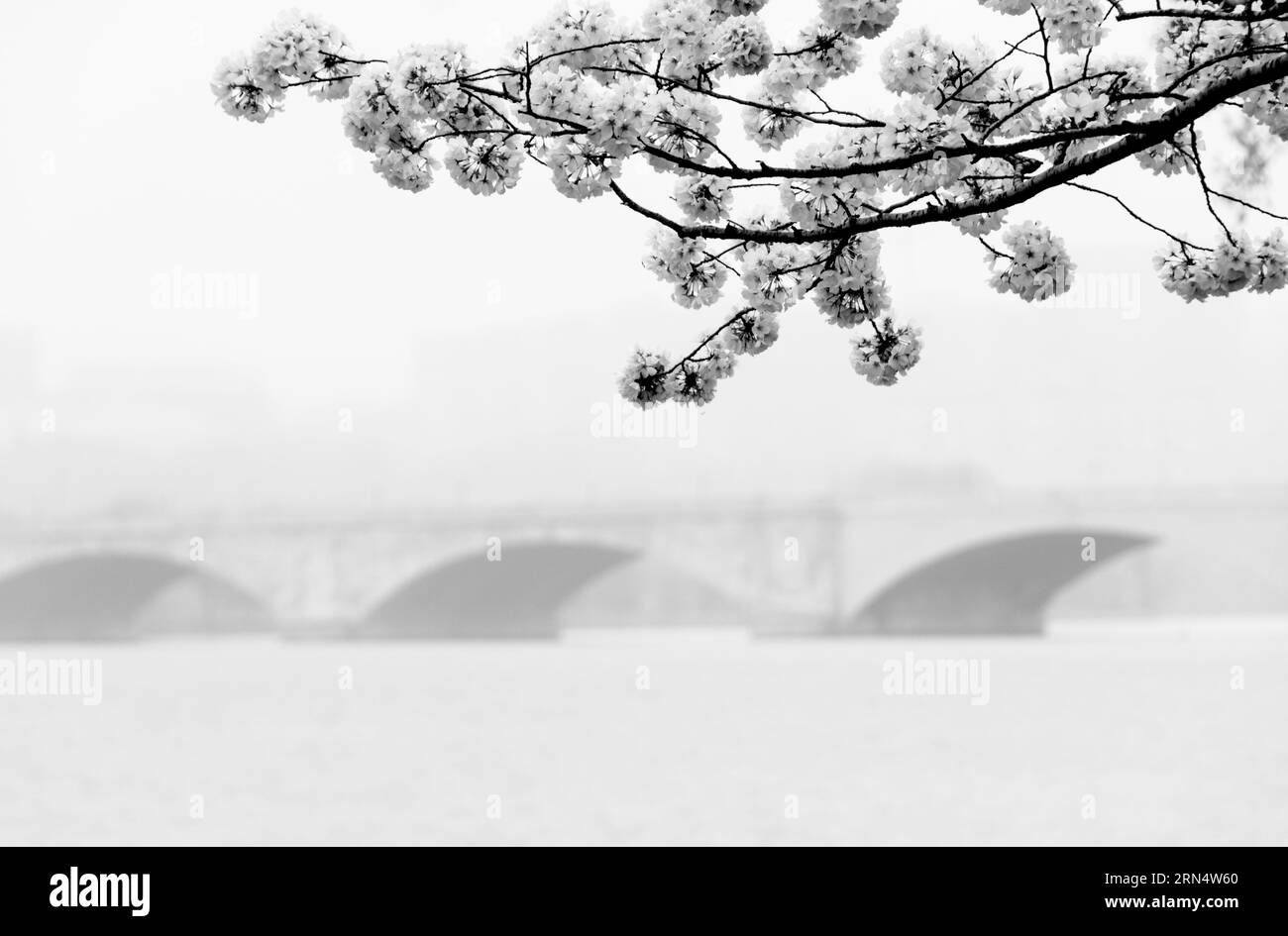 Hains point potomac Black and White Stock Photos & Images - Alamy