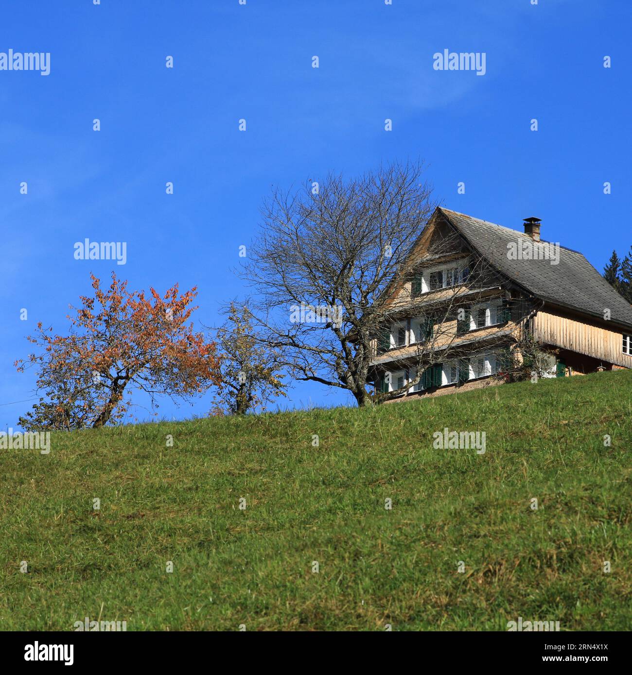 Old chalet in the Swiss Alps Stock Photo - Alamy