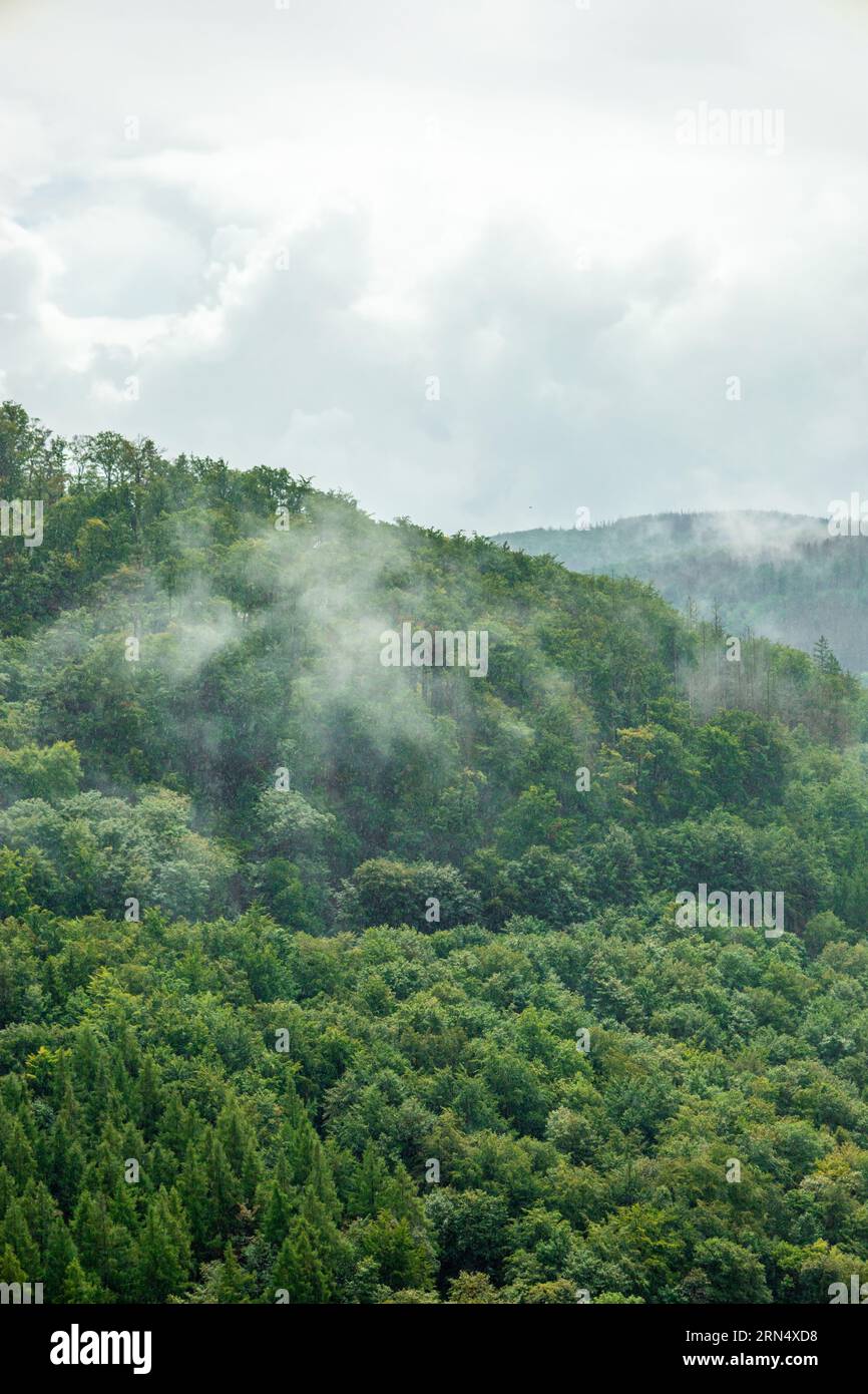 Summer walk on the high trail of the Thuringian Forest near Ruhla ...