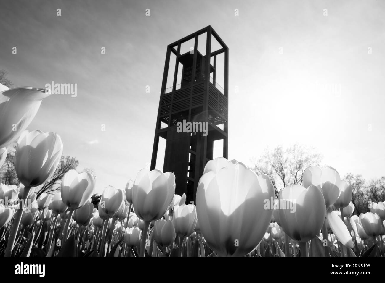 Carillon tower Black and White Stock Photos & Images - Alamy