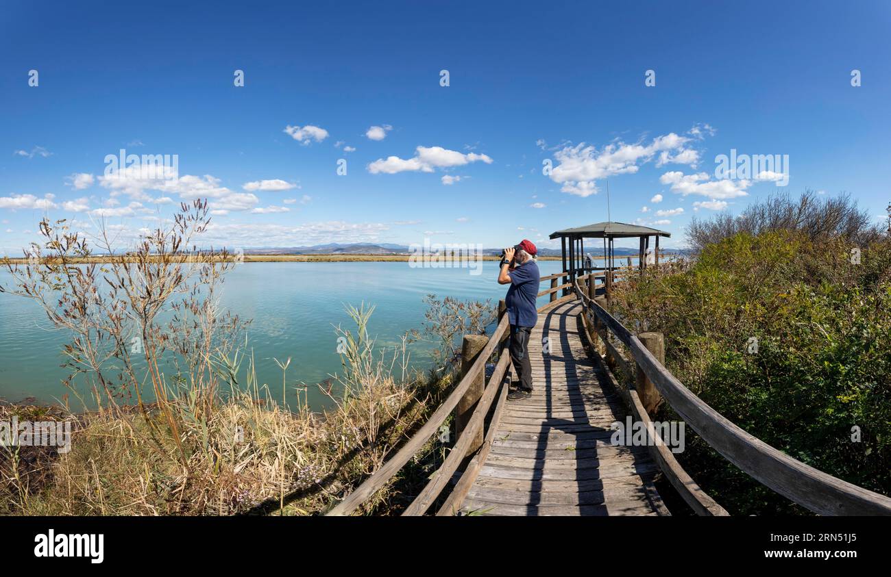 Bird watching from the wooden footbridge in the nature reserve of the ...