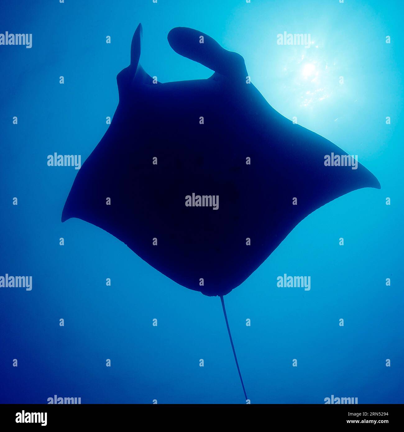 Maldives and micronesia hi-res stock photography and images - Alamy