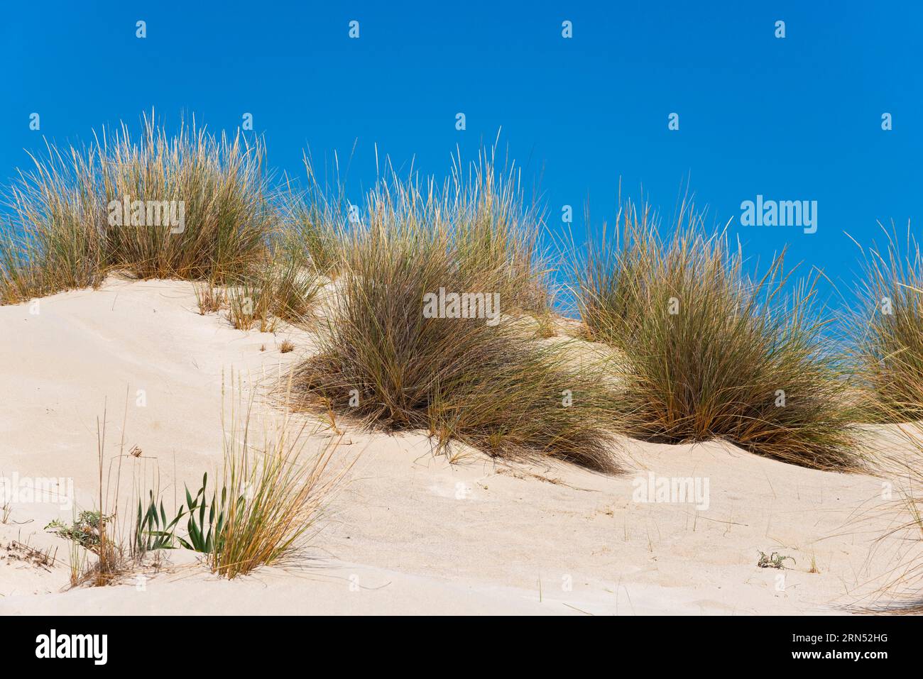 Dunes at Simos Beach, Sarakiniko Beach, Elafonisos, Deer Island ...