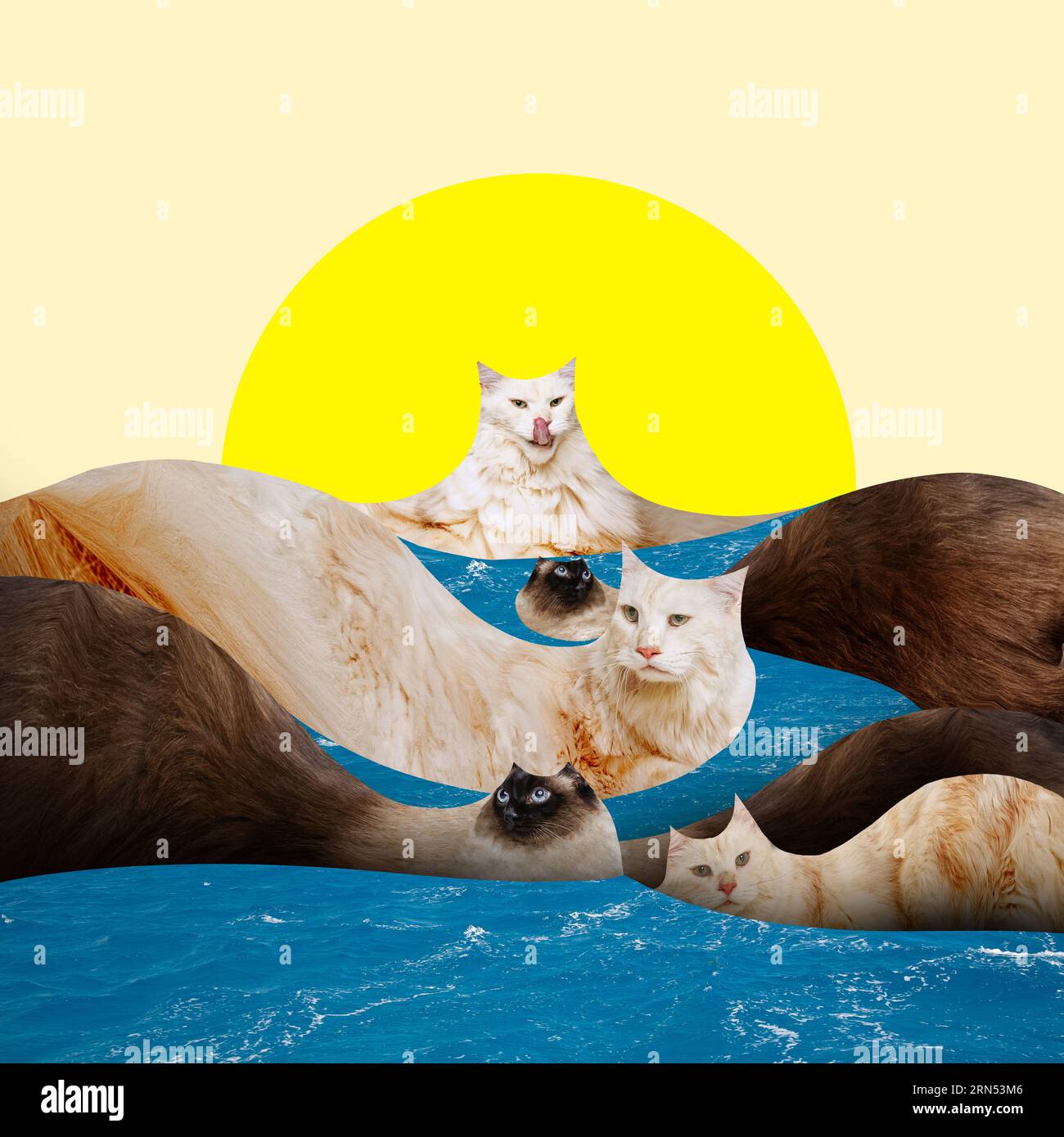 Funny Photoshop Cats