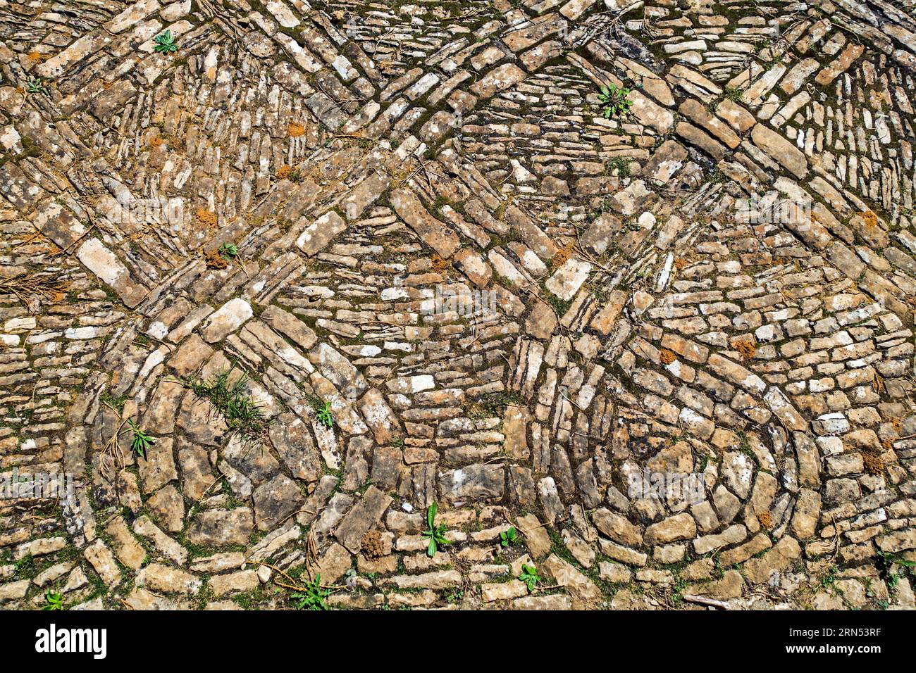 Medieval floor hi-res stock photography and images - Alamy