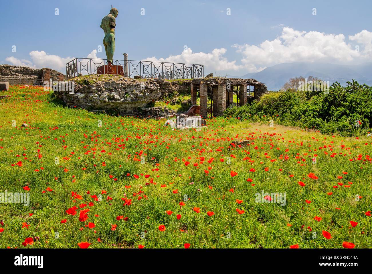 Spring meadow with poppies and statue by artist Igor Mitoraj, Pompei ...