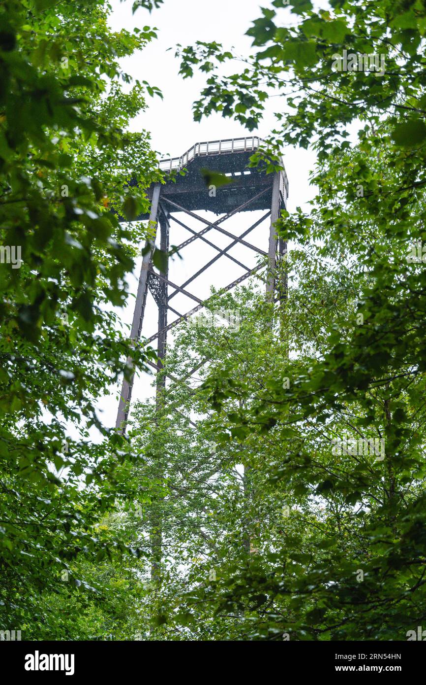Kinzua bridge state forest Pennsylvania landmark late fall season ...