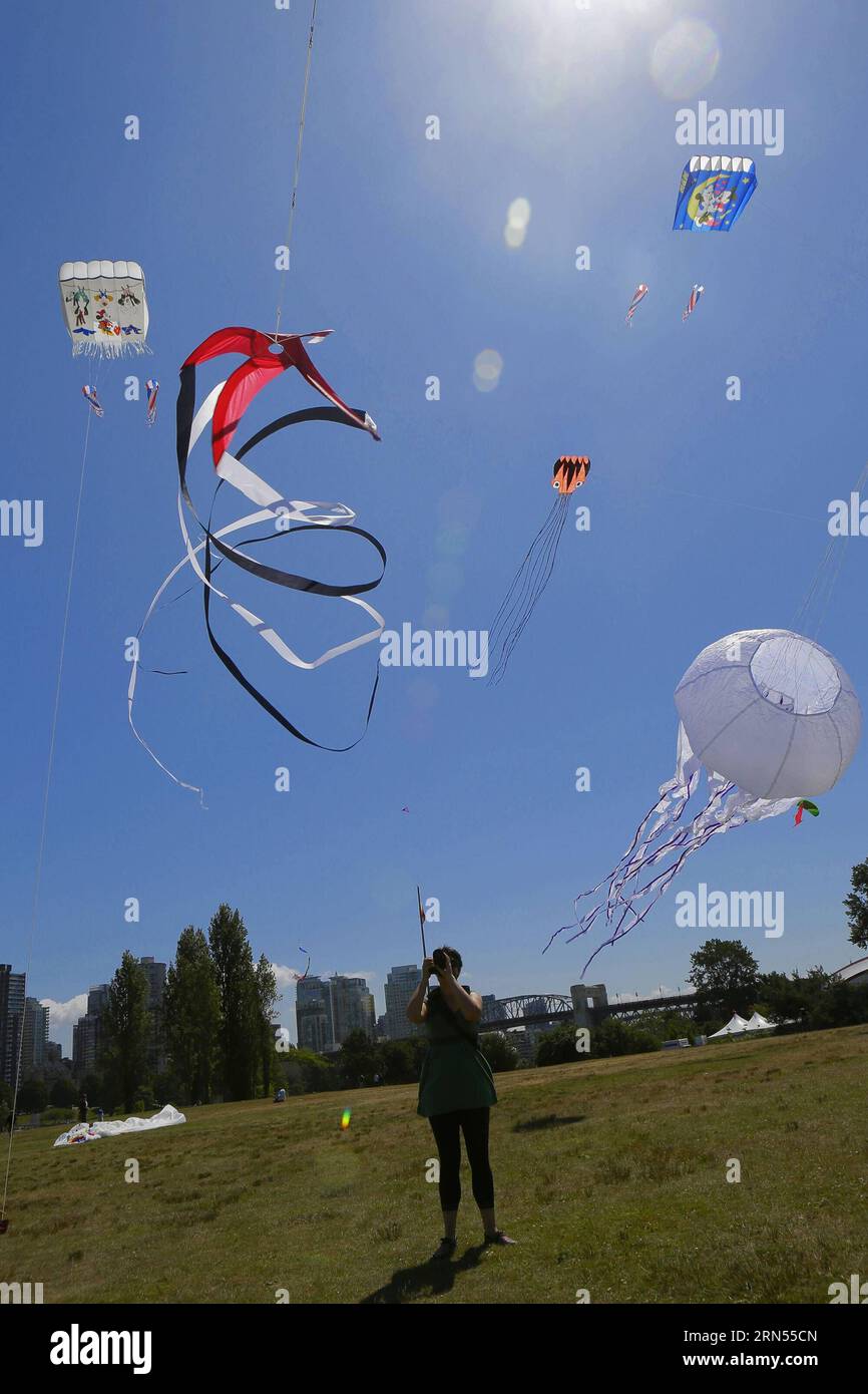 Types of kites hi-res stock photography and images - Alamy