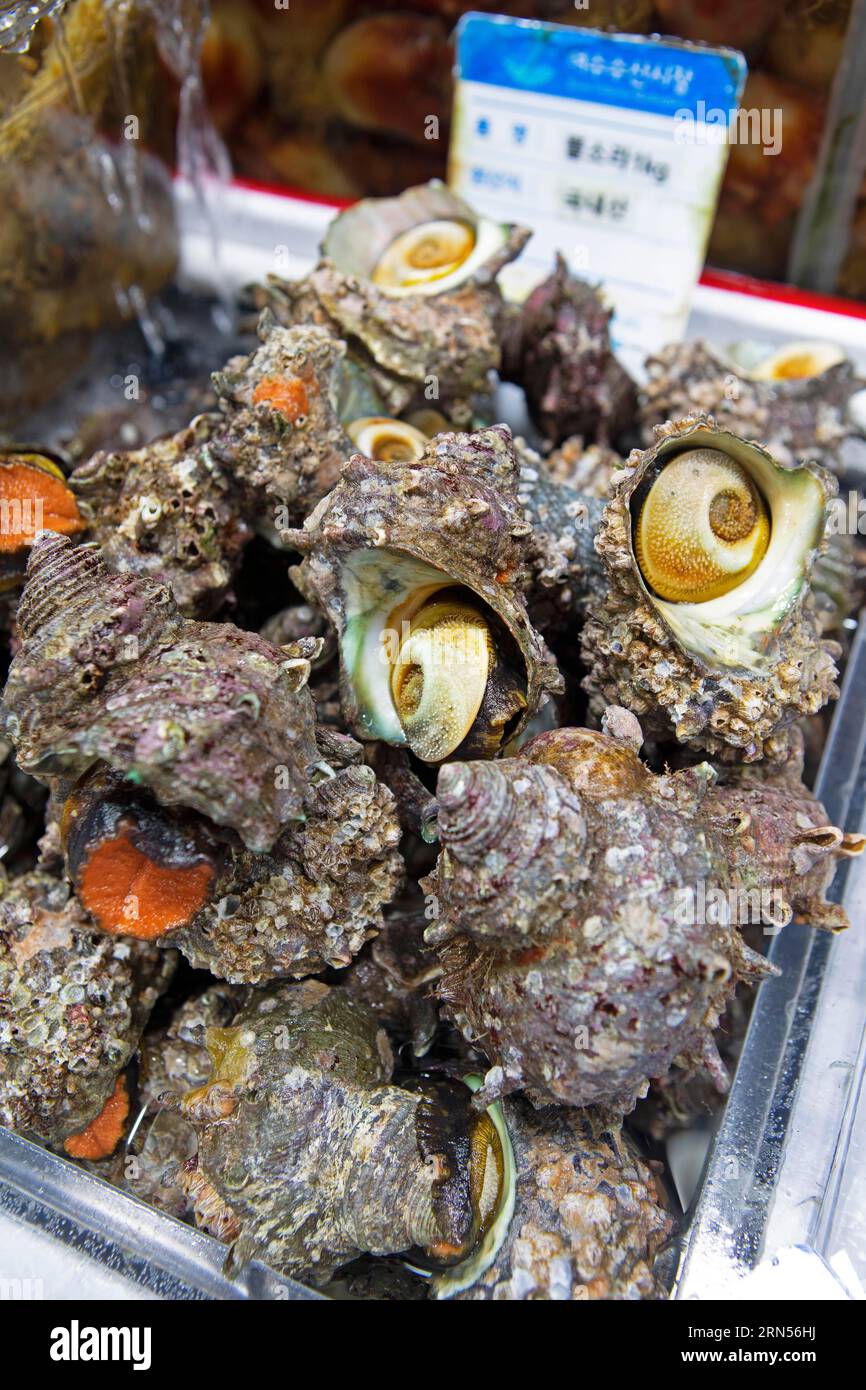 Jeolla market hi-res stock photography and images - Alamy