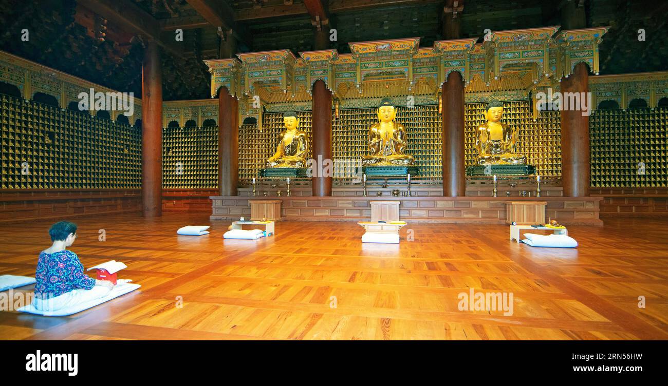 Korean woman praying at the golden Buddha statues in the temple, May ...