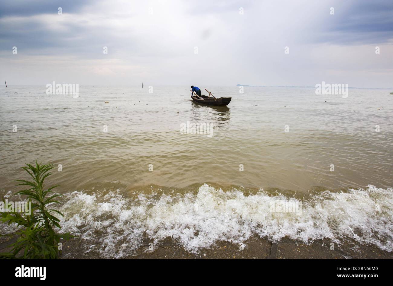 Persistent rise hi-res stock photography and images - Alamy