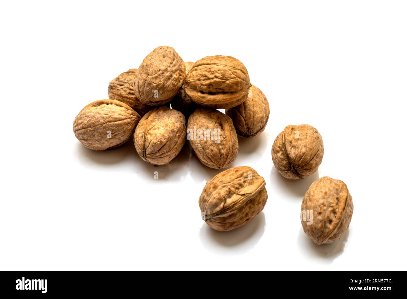 Walnut brown nut closeup on white background Stock Photo - Alamy