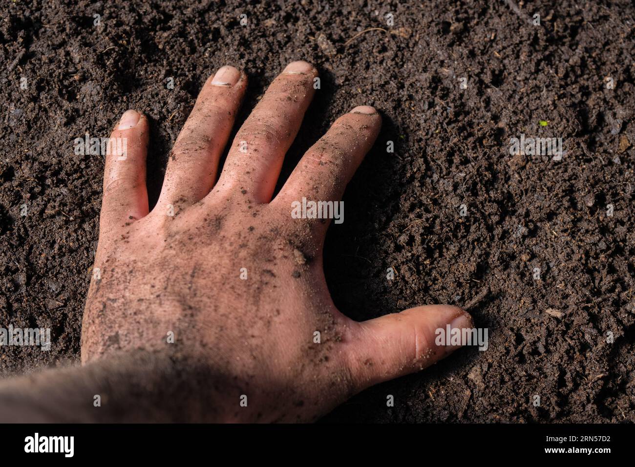 open hand resting on wet ground Stock Photo - Alamy