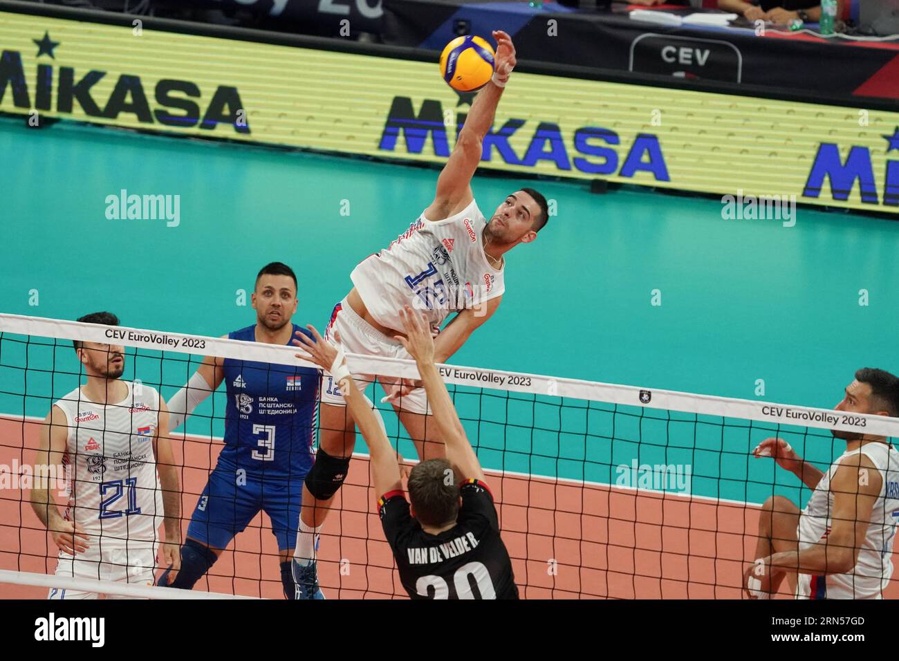 Pavle peric hi-res stock photography and images - Alamy