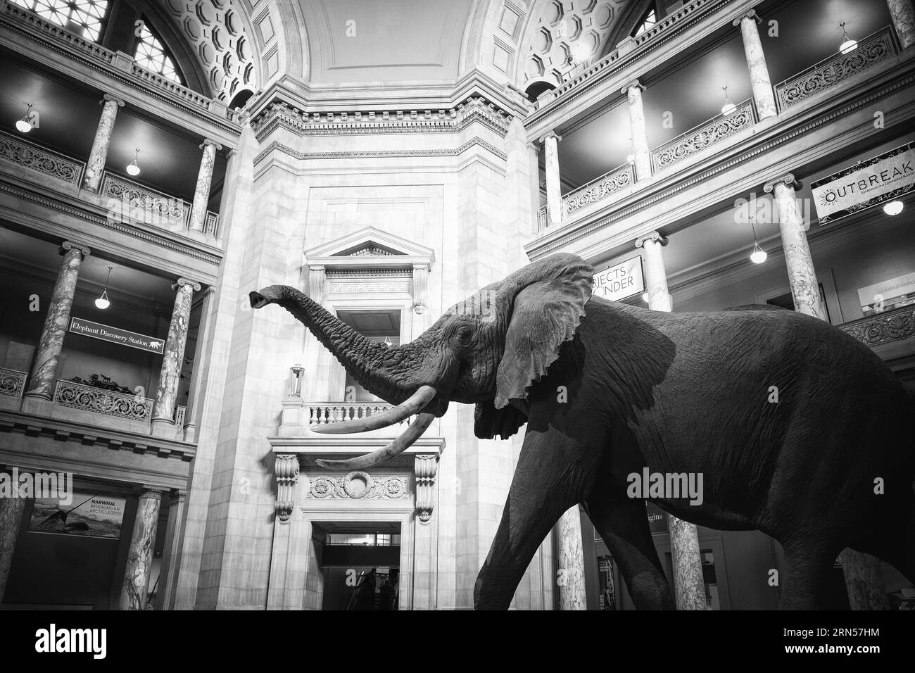 Elephant discovery station sign hi-res stock photography and images - Alamy