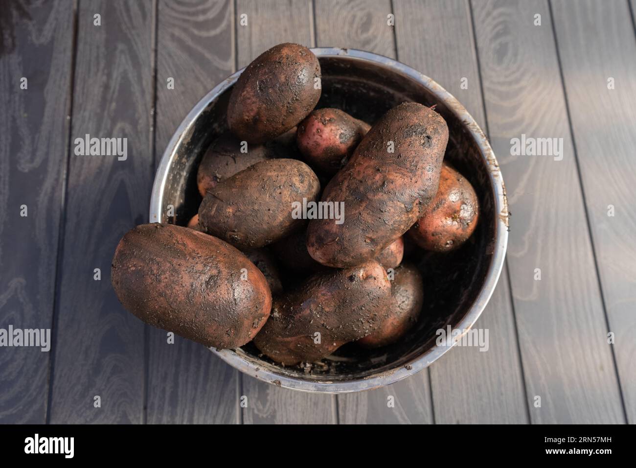 Container harvest potatoes hi-res stock photography and images - Alamy