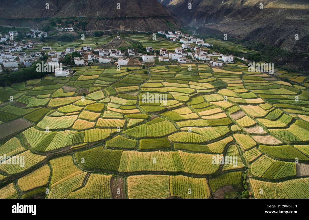 (150617) -- XIANGCHENG, June 17, 2015 -- Photo taken on June 17, 2015 ...