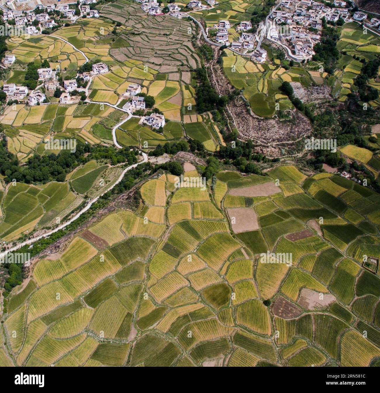 (150617) -- XIANGCHENG, June 17, 2015 -- Photo taken on June 17, 2015 ...