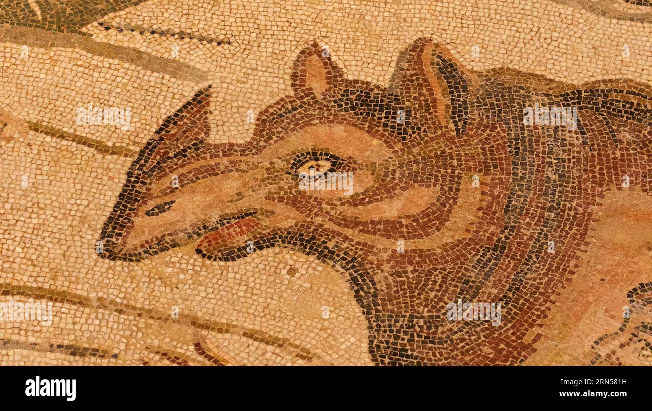 Rhino, close, Roman mosaics, Villa Romana del Casale, UNESCO World ...