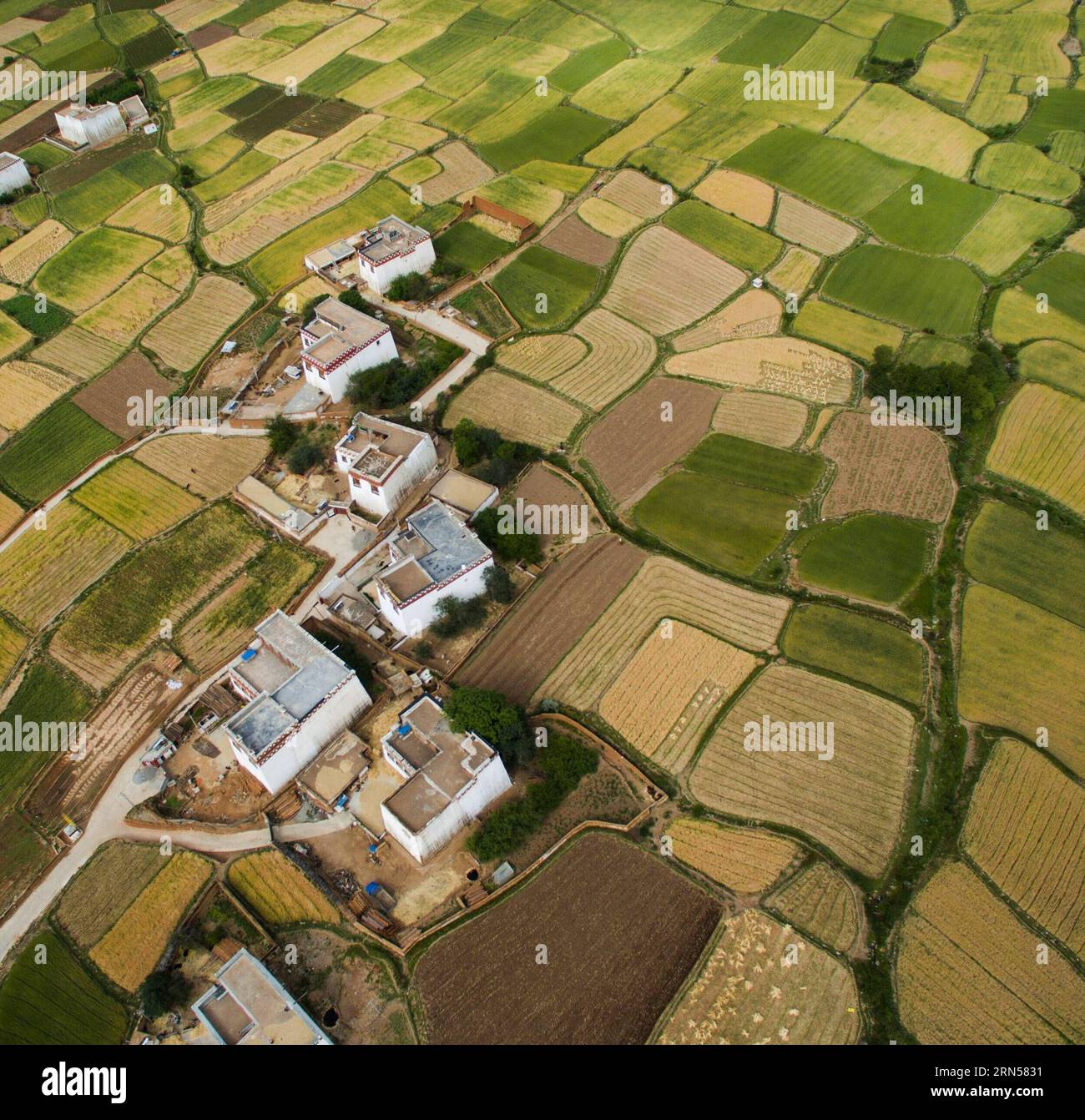 (150617) -- XIANGCHENG, June 17, 2015 -- Photo taken on June 17, 2015 ...