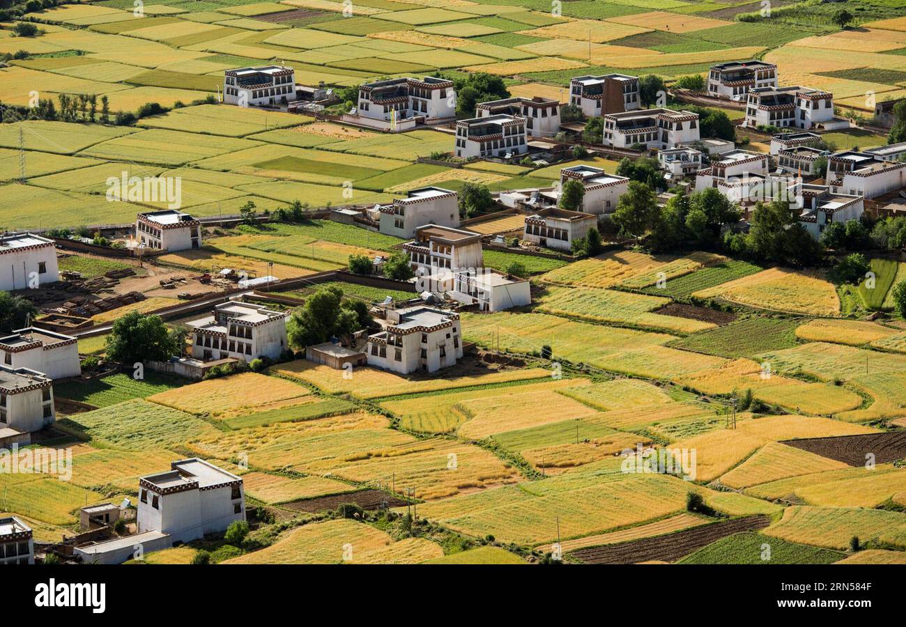(150617) -- XIANGCHENG, June 17, 2015 -- Photo taken on June 17, 2015 ...