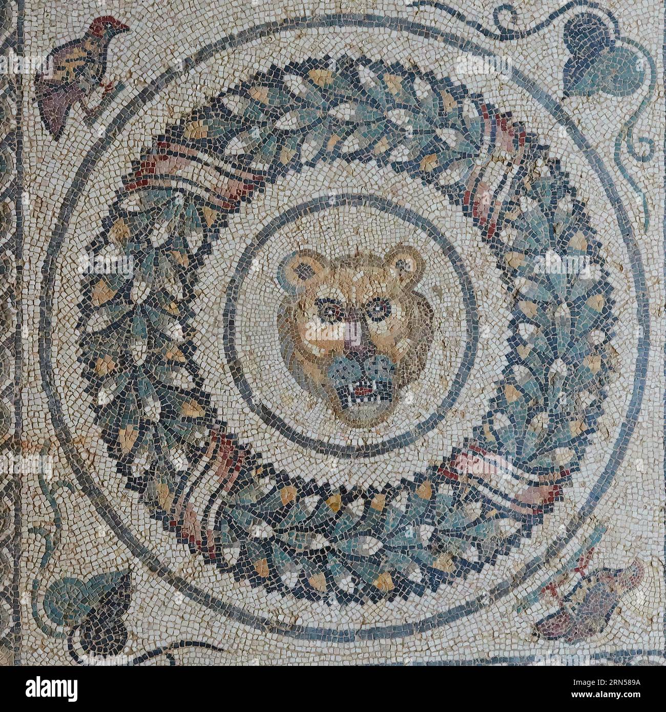 Tiger Head, Roman Mosaics, Villa Romana del Casale, UNESCO World ...